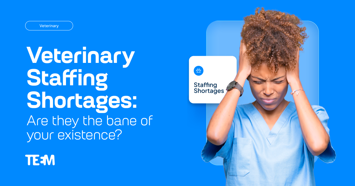 Veterinary Staffing Shortages: Are they the bane of your existence? - Teem