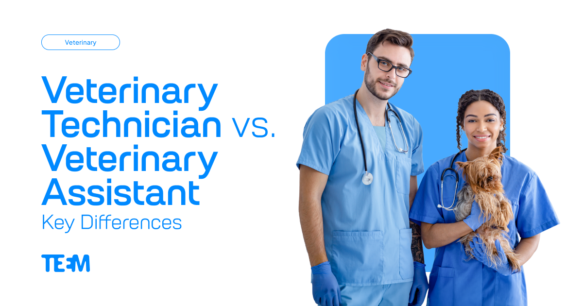 Veterinary Technician vs. Veterinary Assistant: Key Differences - Teem